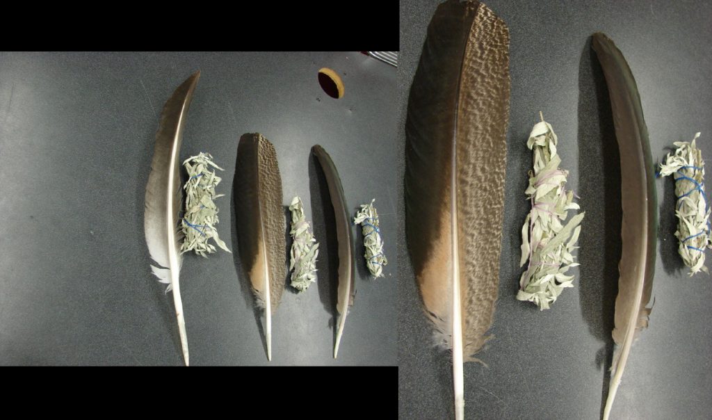 Ojibwe Indian Authentic Prayer Smudge Feather White Cedar Northern Grey ...