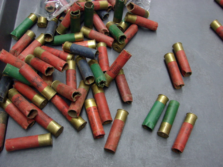 Empty Used Shotgun Shell Brass Copper Shells Hunting Theme Craft ...