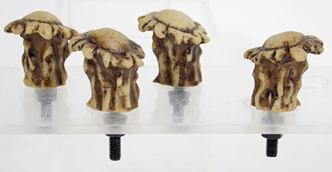 Set/4 Realistic Deer Antler Cabinet Drawer Hardware Pull Knob - Moose-R ...