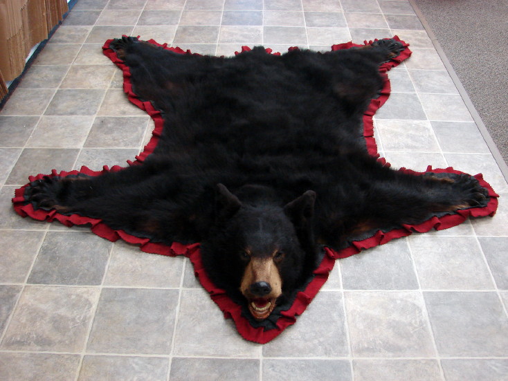 Newer Black Bear Skin Rug Cranberry Red Black Double Felt - Moose-R-Us ...