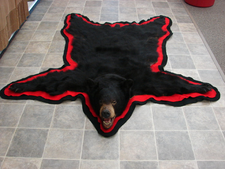 Real Black Bear Rug Taxidermy Hide Pelt Fur Black Red Felt Open Mouth ...